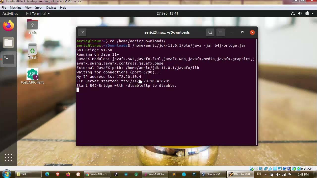 [B4X] (B4J) Ubuntu Linux Web API Client App - YouTube