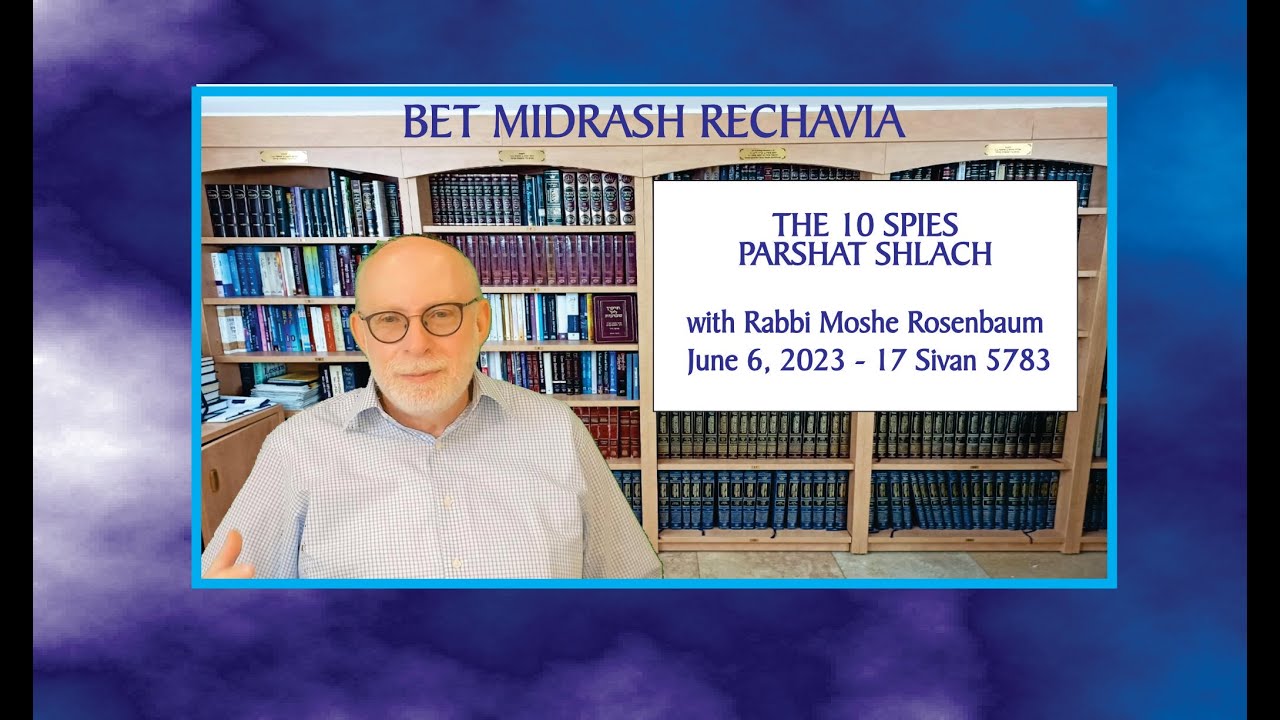 Bet Midrash Rehavia - The 10 Spies - Parashat Shlach - YouTube