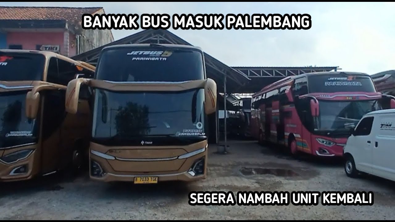 SEGERA TAM WISATA NAMBAH UNIT KEMBALI || DI SERBU BUS PENDATANG BARU PO ...