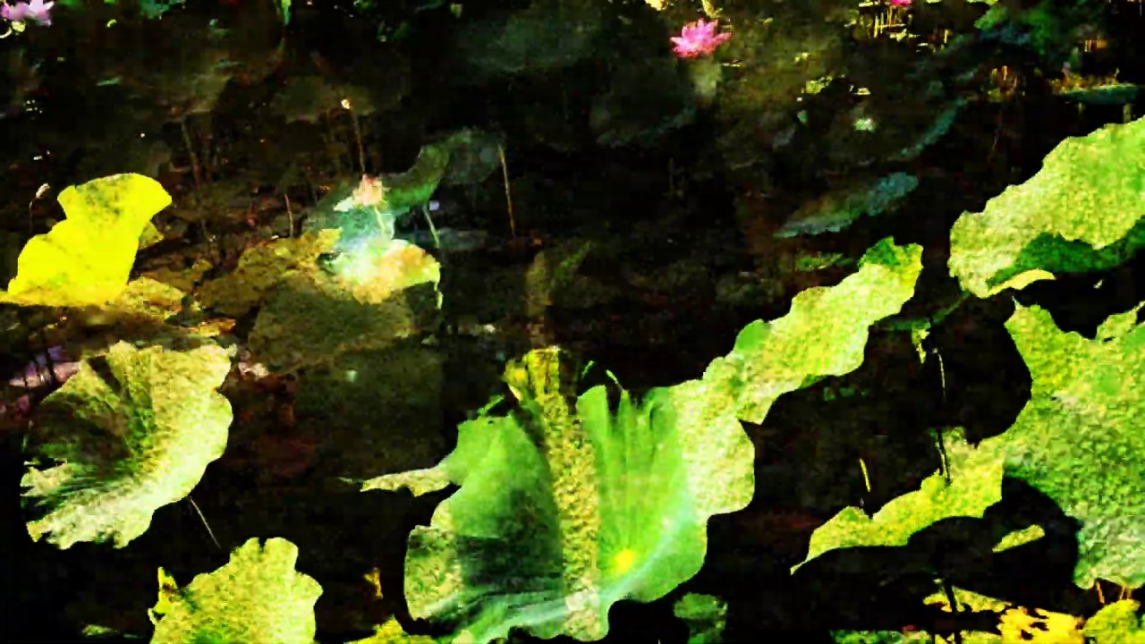 Pipestem: Garden - YouTube