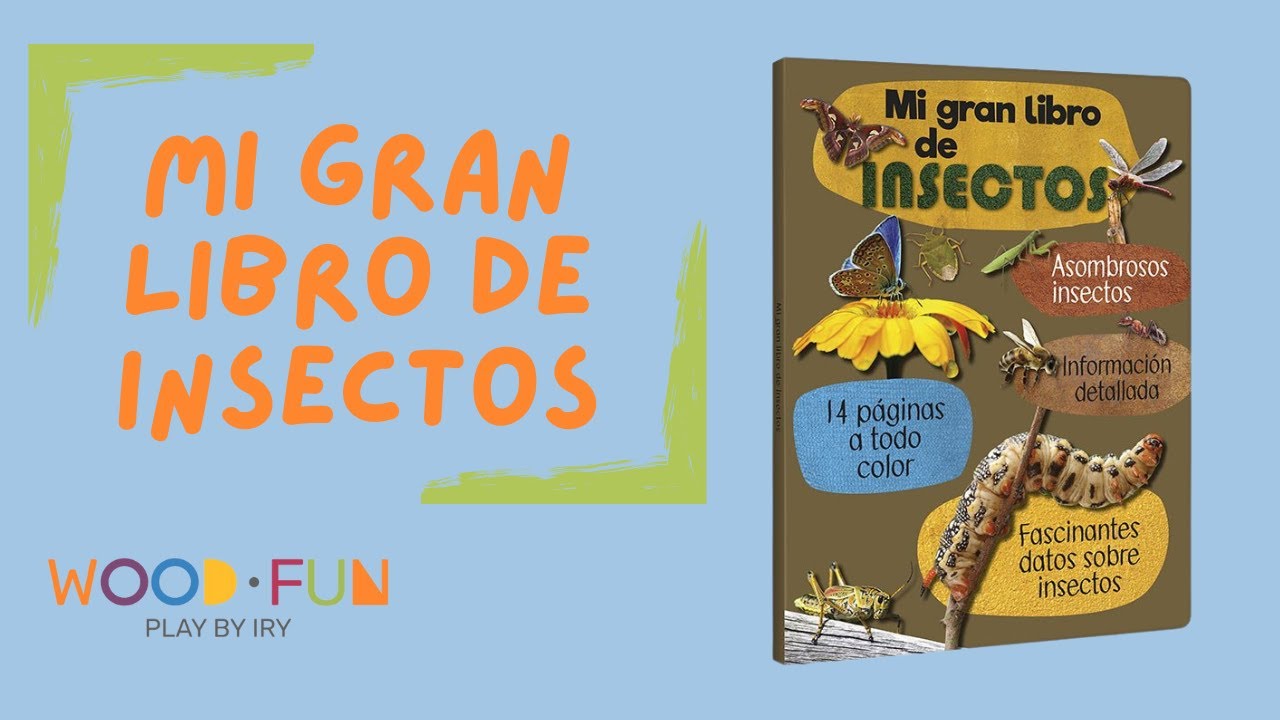 Mi Gran Libro de Insectos - YouTube