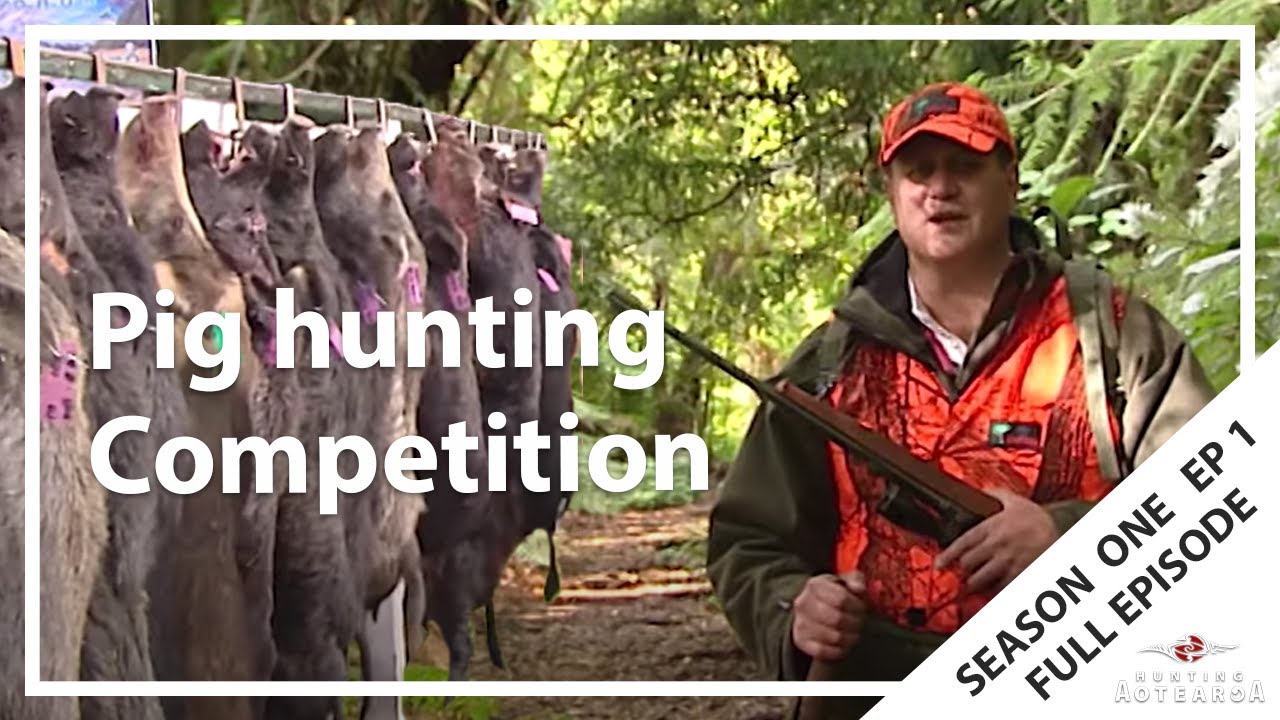 Hunting Aotearoa: Ataiamuri Pig Hunting in the Central Plateau Pine ...