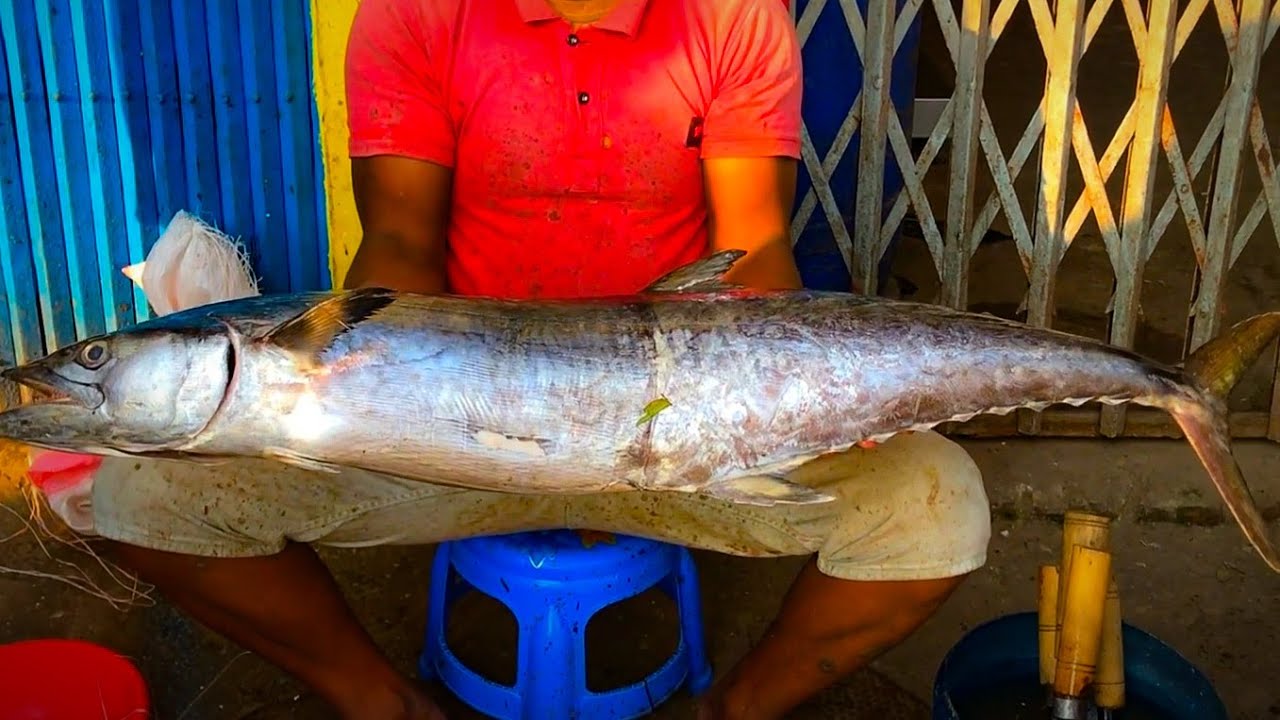Big Kingfish Cutting Skills By An Experienced Fish Cutter, Amazing Fish ...