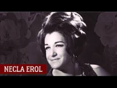 Kul Olayım Kalem Tutan Ellere - Necla Erol -  (Türkü Gibi Hayat)