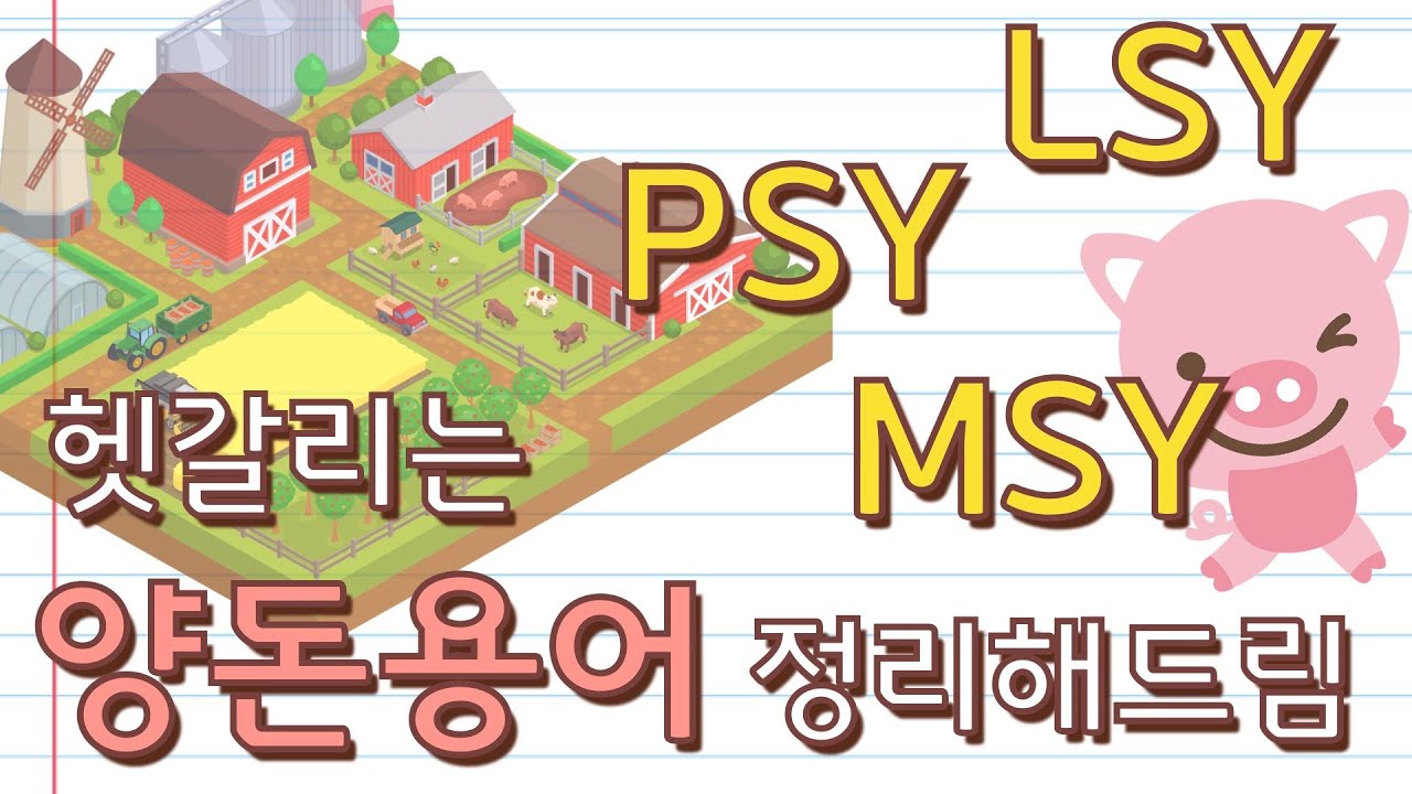 양돈과 떼놓을 수 없는 PSY MSY LSY 대체 어떤 의미일까? #돼지지식백과 #양돈 - YouTube