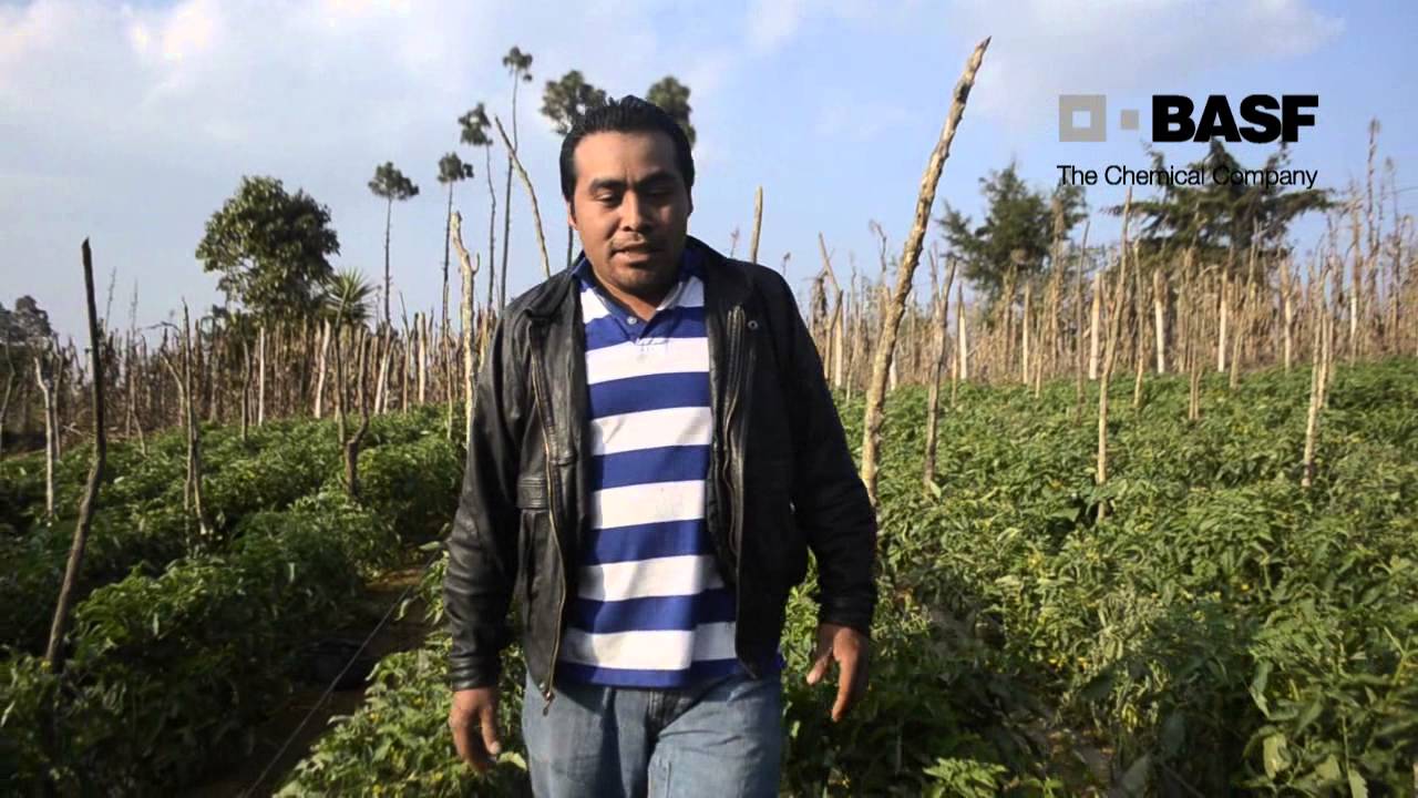 Testimonial Cabrio Team - YouTube