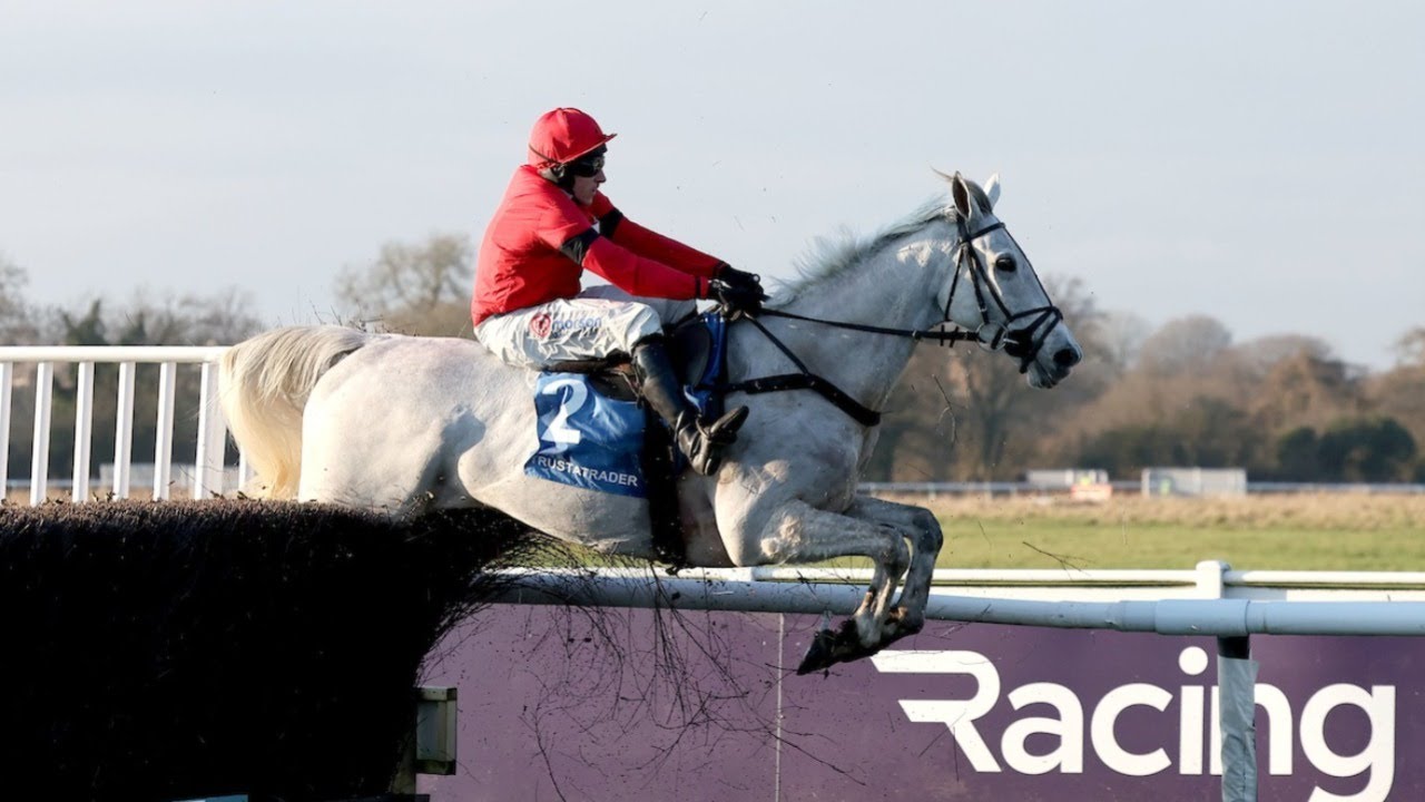 GREY DAWNING batters Hampton Novices' Chase rivals at Warwick - YouTube