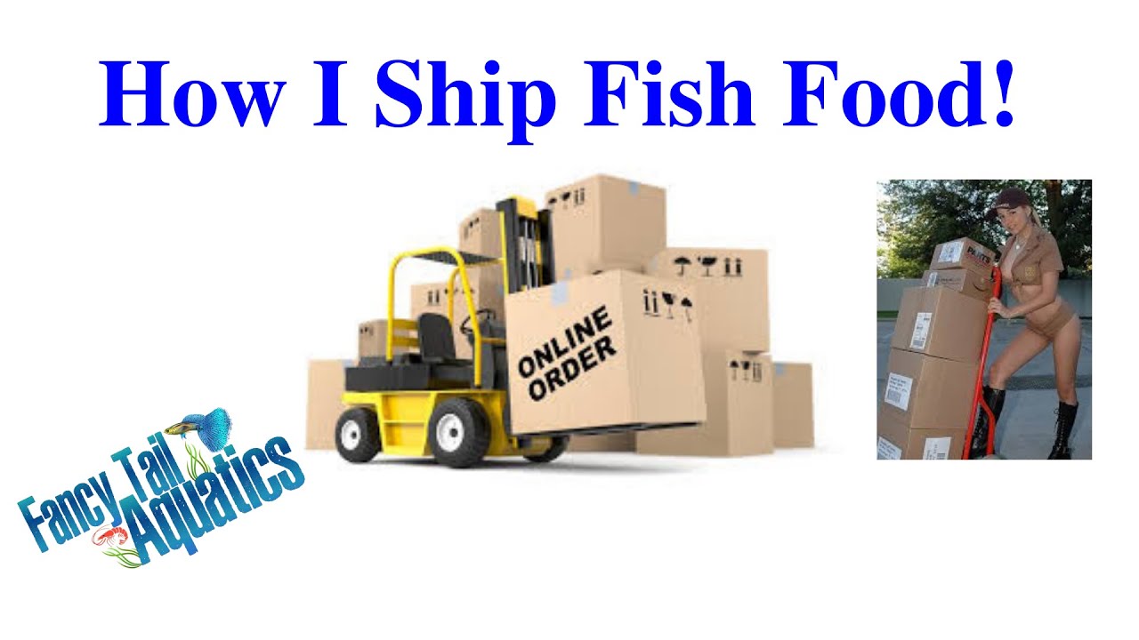 Shipping Fish Food And How To! - YouTube