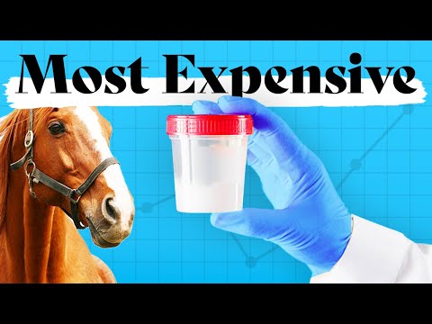 The World's Most Expensive Liquid