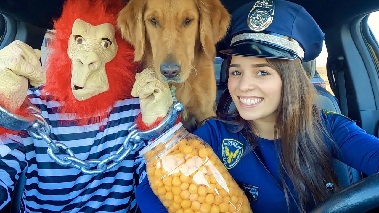 Police Surprises Puppy & Gorilla with Car Ride Chase! - YouTube