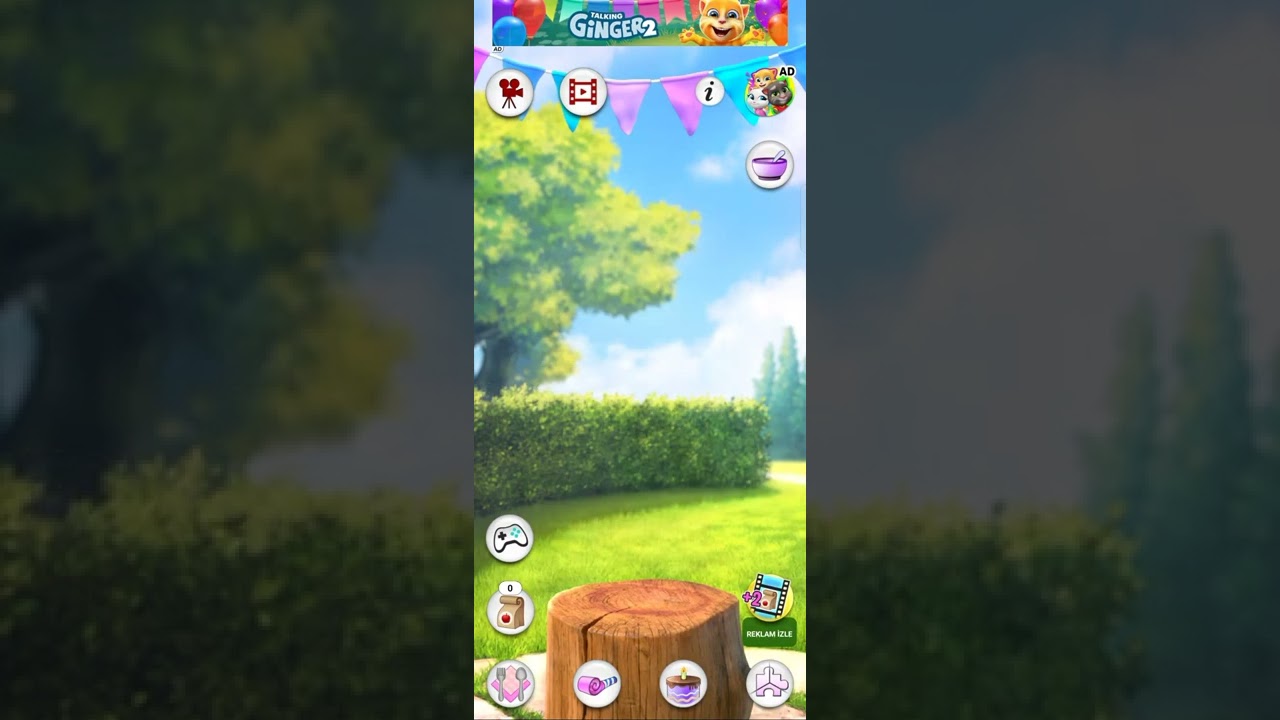 Talking Ginger 1🙀🧭🌌🍁🥀🌺🌊🏖️🌈🦁🐯🦁🐭🦓🐵🐸🐯🦊🐮🦓🐸🐬🦭🐬🐬#shorts - YouTube