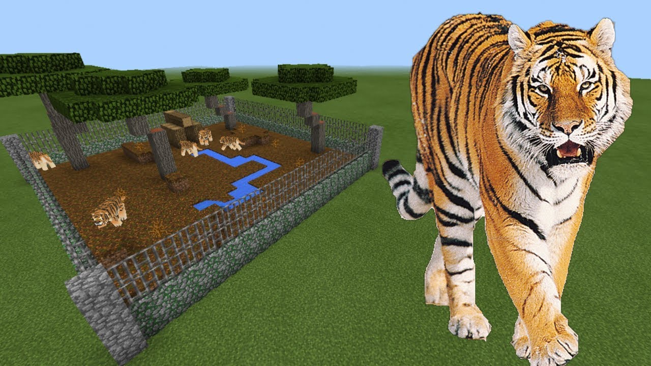 MCPE: How To Make a Tiger Farm - YouTube