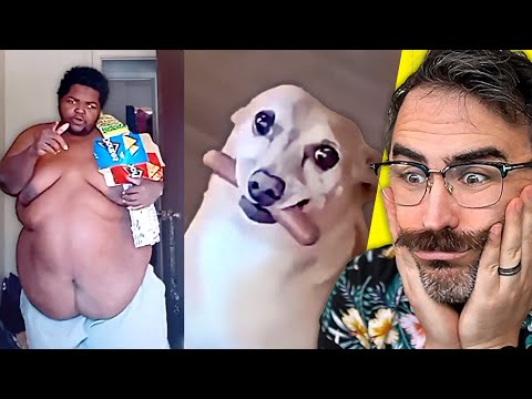 TikToks To Watch While On The Toilet