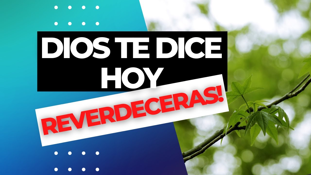 REVERDECERÁS. GLORIA A DIOS!!!!. - YouTube