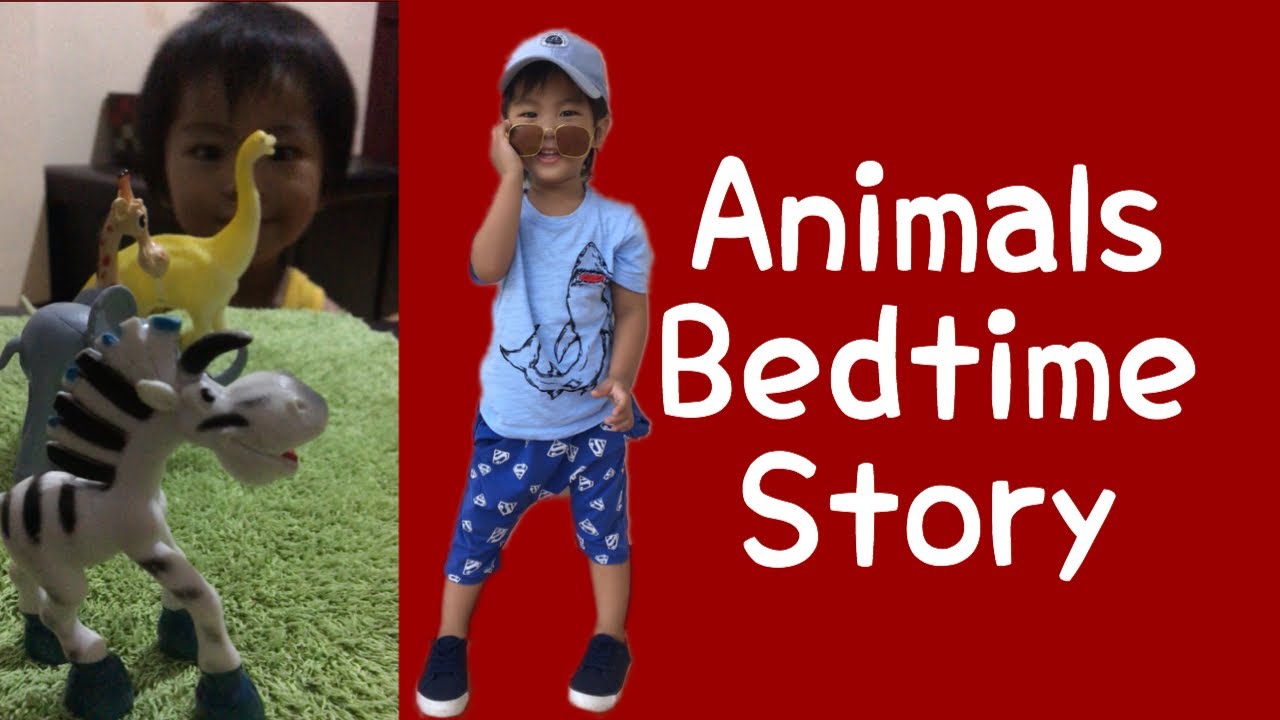 The Animals bedtime story - YouTube
