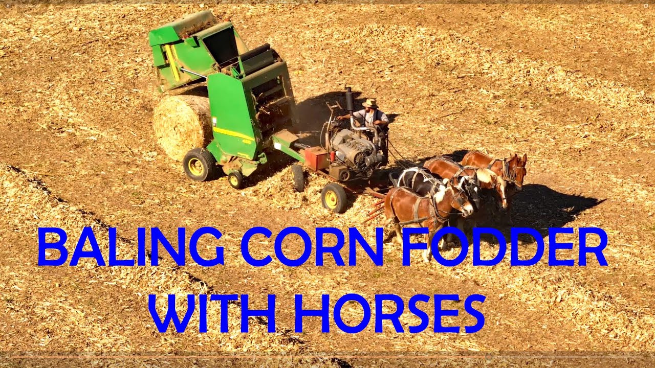 BALING Corn FODDER With HORSES on OLD ORDER AMISH Farm in Paradise ...