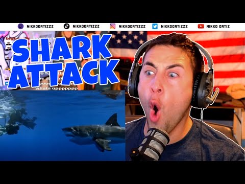 SHARK ATTACKS!! (LIVE REACTION) - YouTube