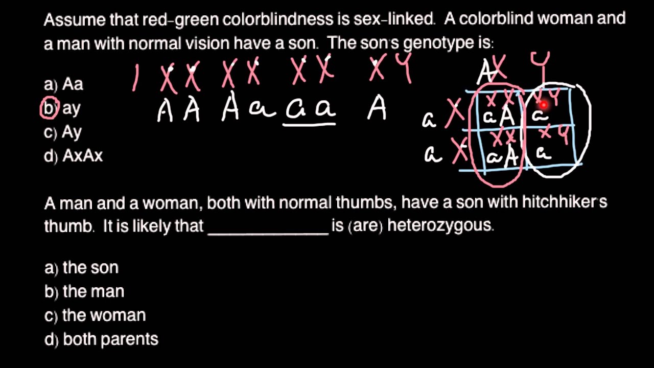 Red-Green color blindness genotype problem - YouTube