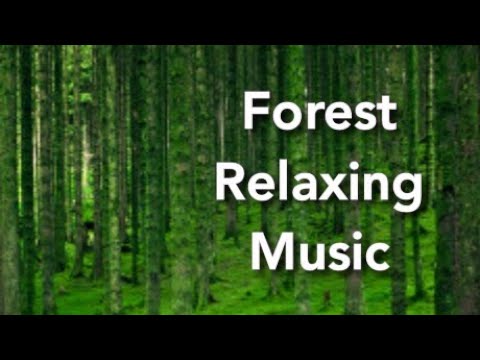 Forest Relaxing Music | Best Natural Music | Sleep and relaxing sound ...