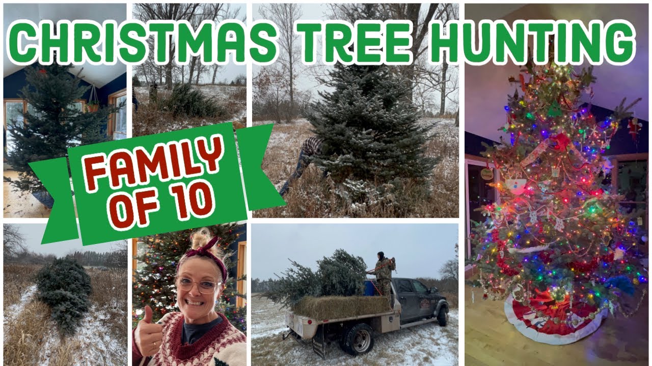 OUR FAMiLY OF 10 TRADITIONS~ CHRiSTMAS TREE HUNTiNG 🎄😉 - YouTube
