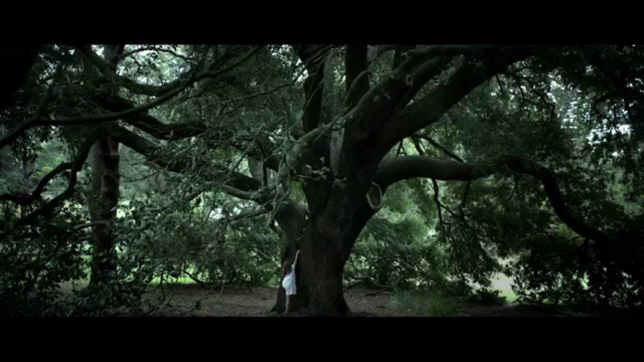 Ronald McDonald House Charities Tree of Life Commercial - YouTube