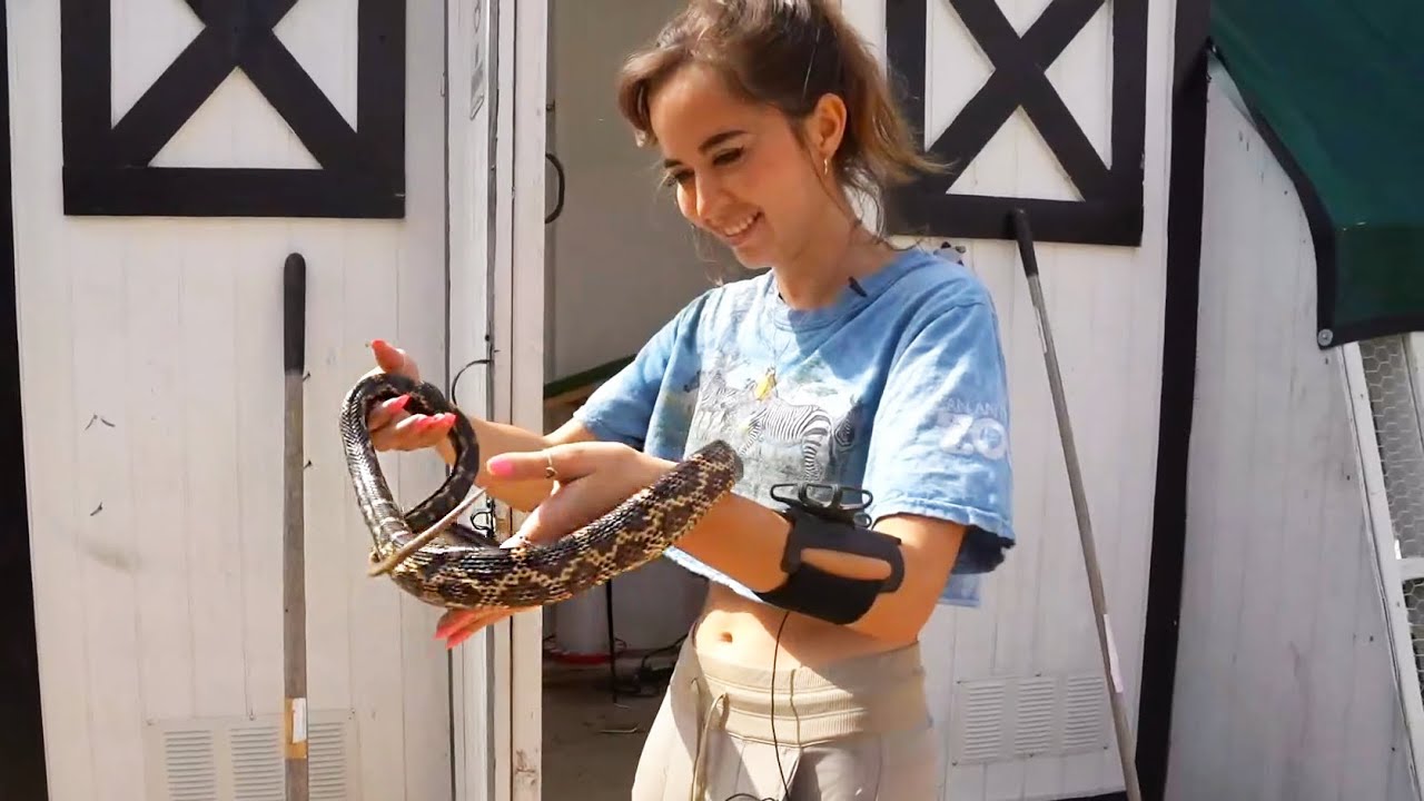 Maya releases a WILD SNAKE at Alveus - YouTube