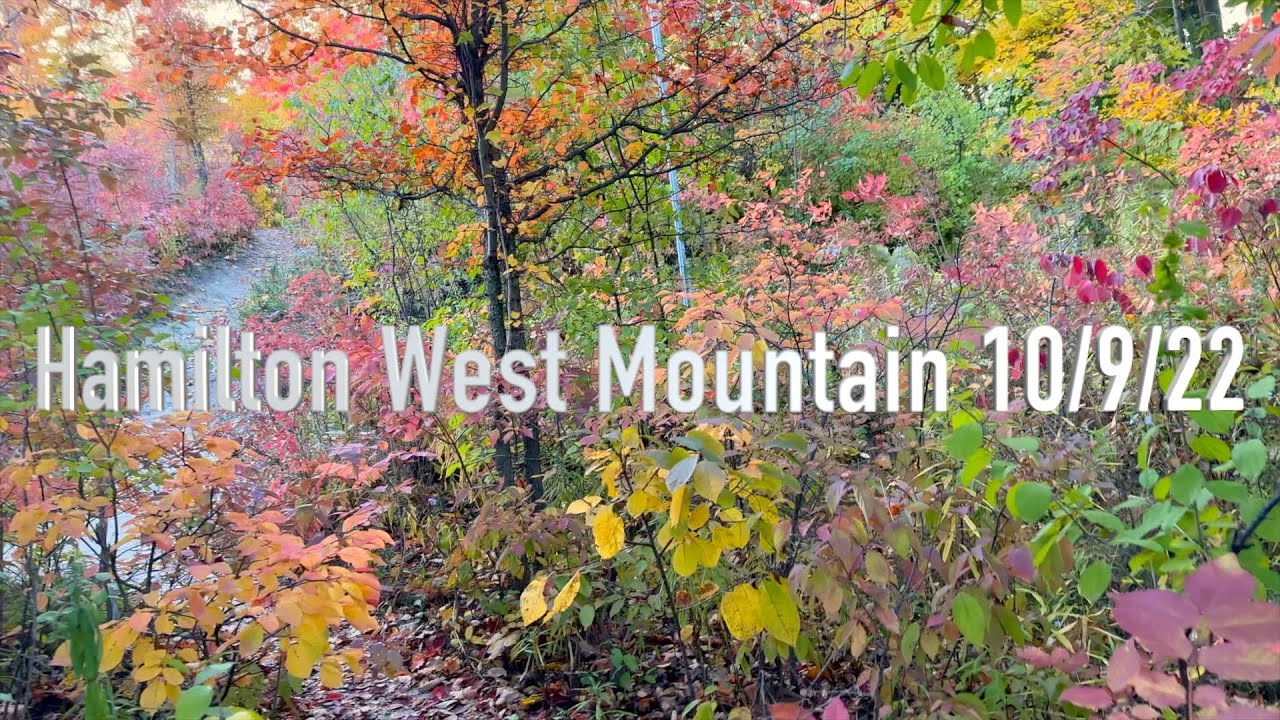 Fall Colours Hamilton West Mountain 10/9/22 - YouTube
