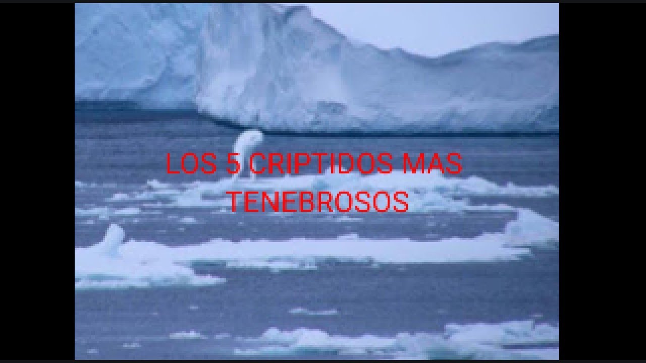 Los 5 Criptidos Más Tenebrosos Captados En La Vida Real 2022 - YouTube