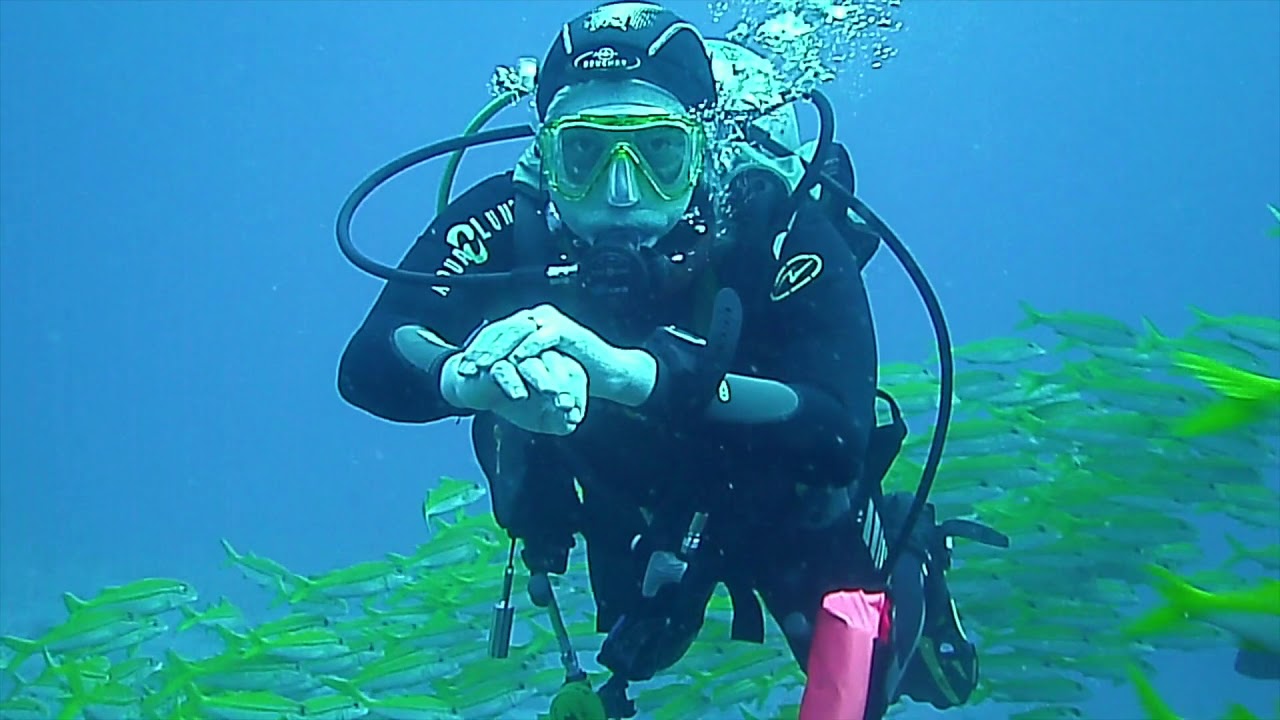 Maldives (drone, scuba diving) - YouTube
