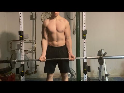 High Volume Back and Bicep Workout | Natural Bodybuilding - YouTube