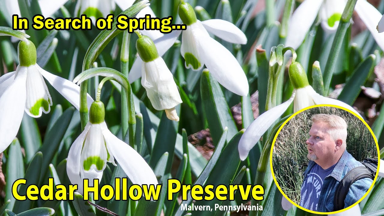 Signs of Spring - Cedar Hollow Preserve - YouTube