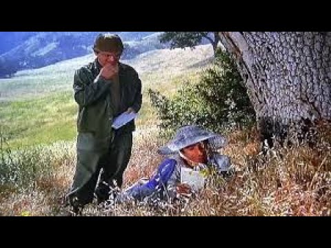 Springtime (1974) Was One Of The Best M*A*S*H Episodes Ever - YouTube