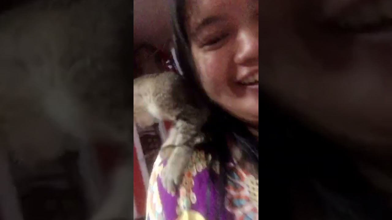 anak baru dtng LBH galak 🤭 - YouTube