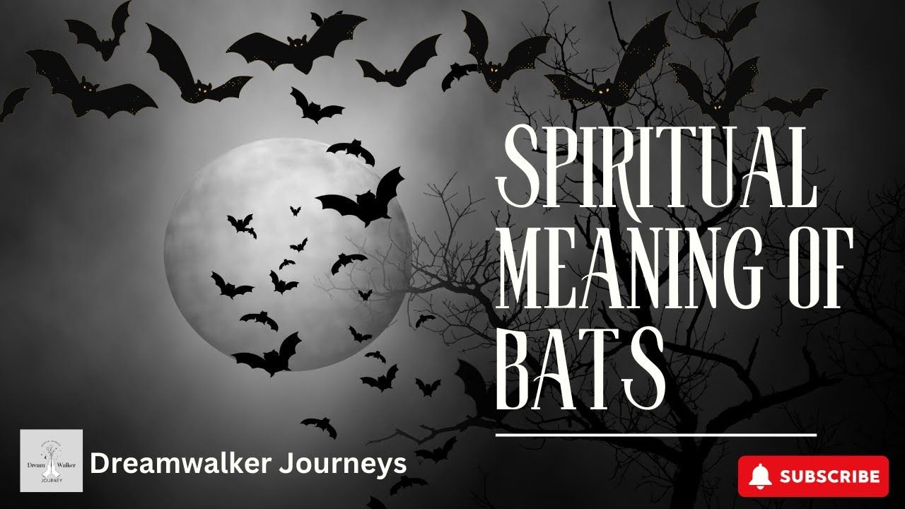 Spiritual Meaning of Bats - YouTube