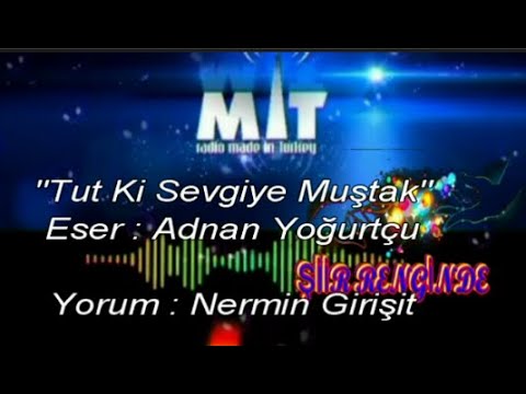 Adnan Yoğurtçu_Şiiri_''Sevgiye Muştak'' Yorum : Nermin Girişit