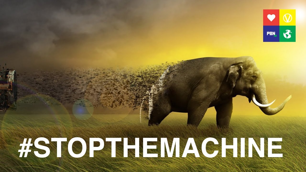 #STOPTHEMACHINE! Factory farming is destroying earth. Interview w ...