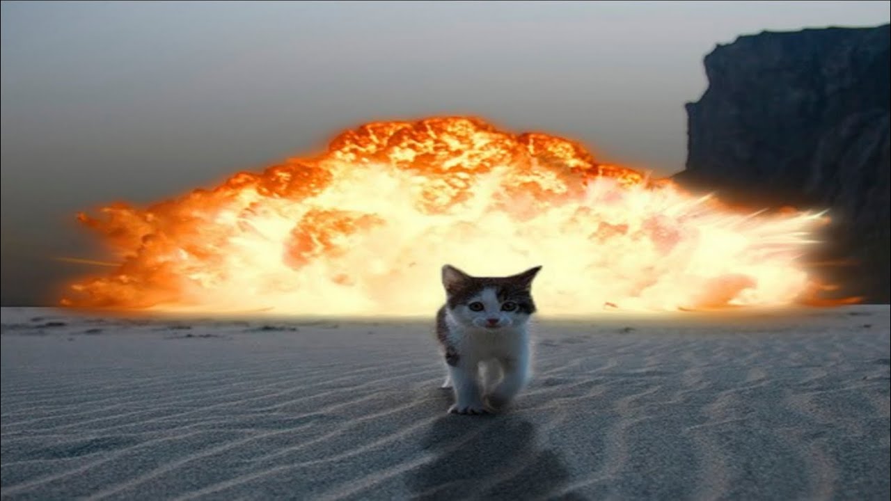 Top 5 penar explosion chamber cat stories - YouTube