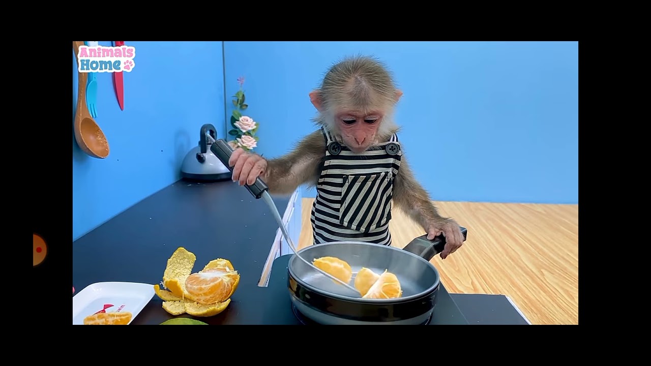 FUNNY CUTE MONKEY KiDS EAT FRUIT SHORT - YouTube