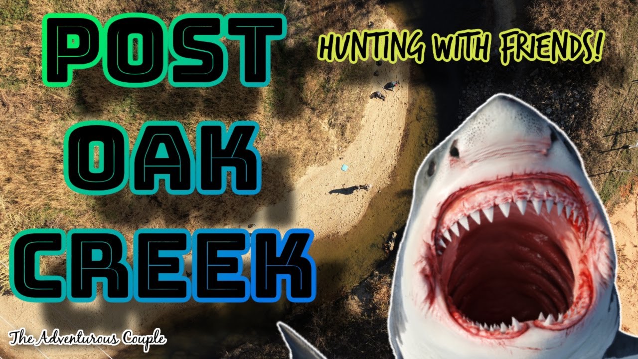 Post Oak Creek -Fossil Hunting with friends 🦈 - YouTube
