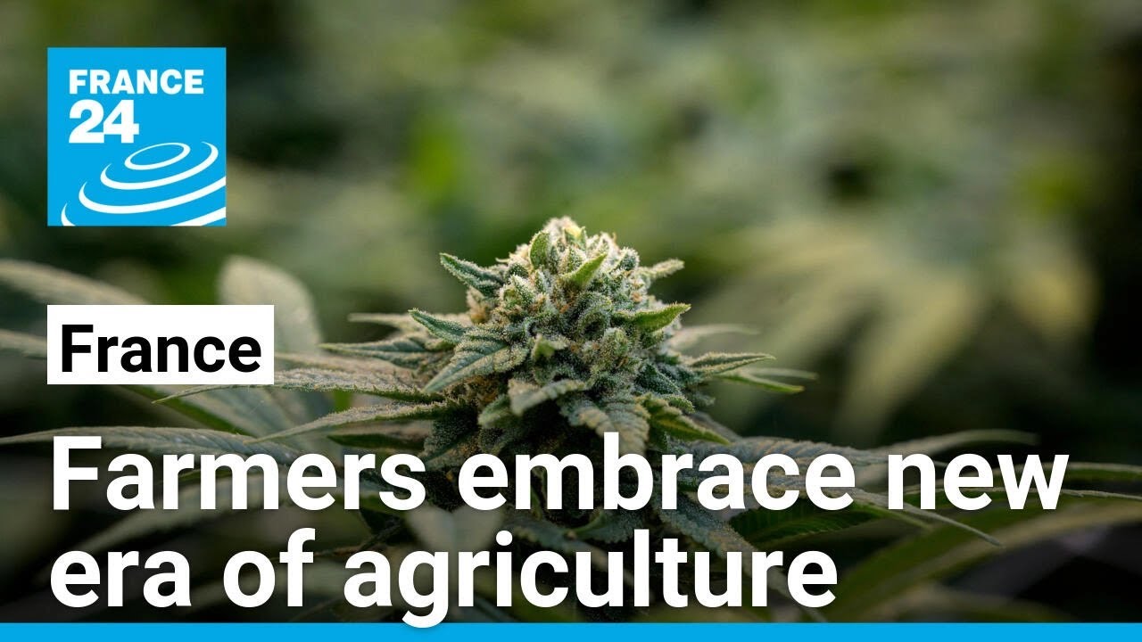 French farmers embrace a new era of agriculture • FRANCE 24 English ...