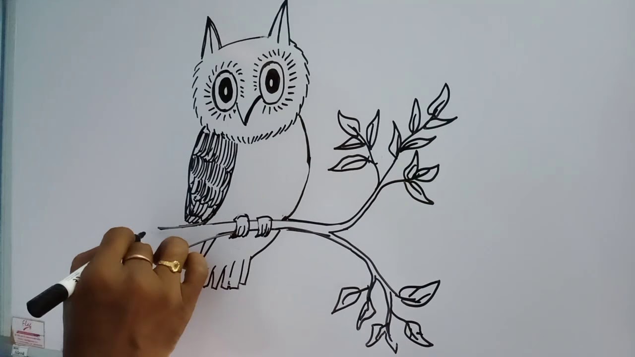 How to draw a owl - YouTube