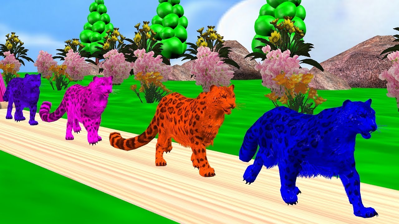 Farm Animals Become Wild Animals Are Transformed Into Water Pool ...