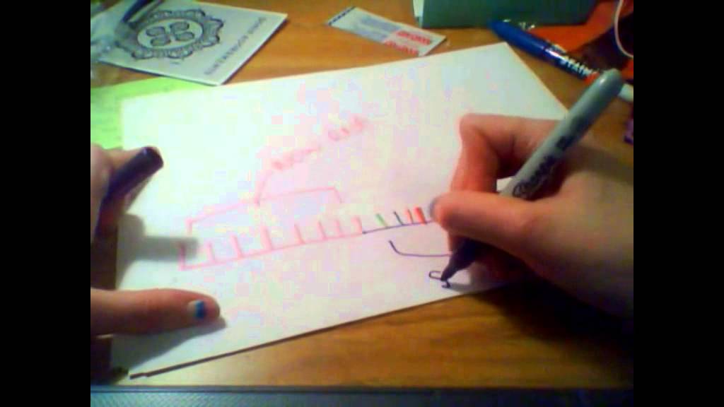 DNA replication: a drawing - YouTube