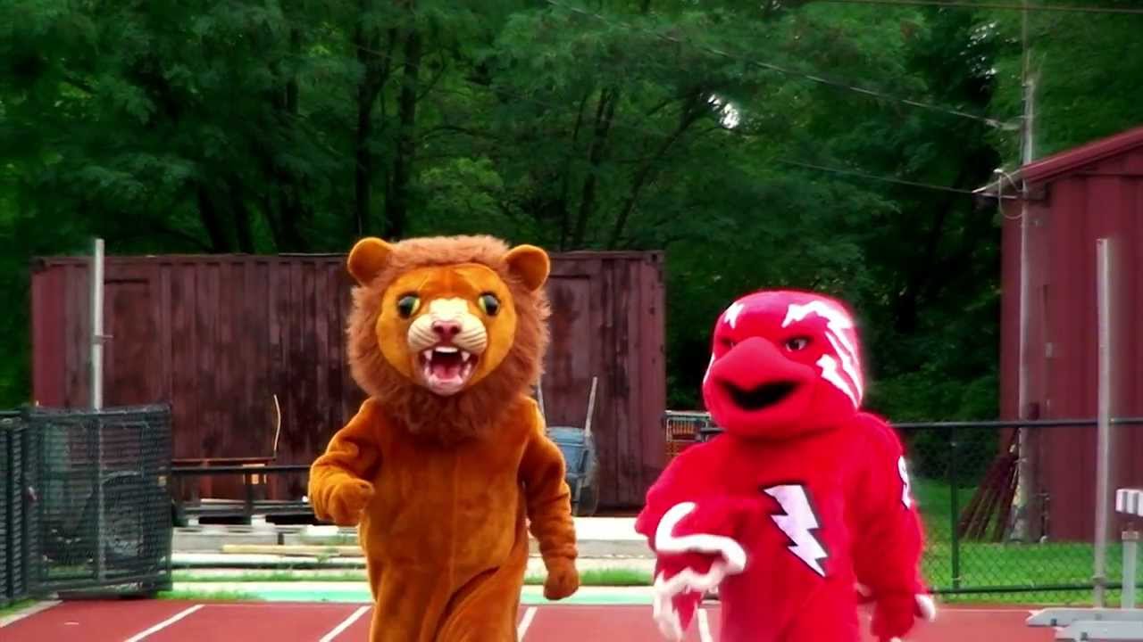 The Great Mascot Race - YouTube
