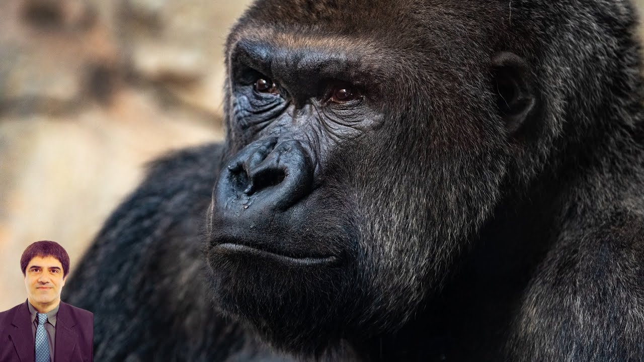 Discover compassion's beauty transcending looks, reshaping perceptions ...