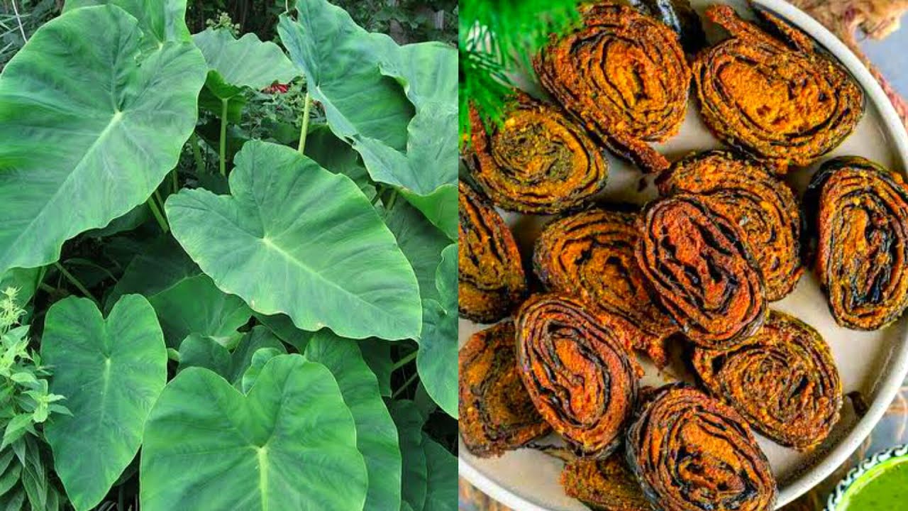 Traditional Pathrode Recipe | ಮಂಗಳೂರು ಸ್ಪೆಷಲ್ ಕೆಸುವಿನ ಎಲೆಯ ಪತ್ರೊಡೆ ...