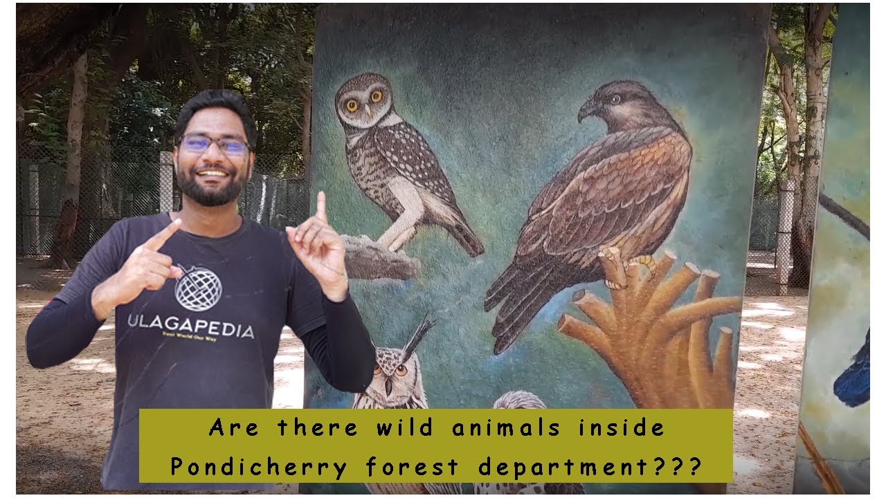 Are there wild animals inside Pondicherry Forest Department ...