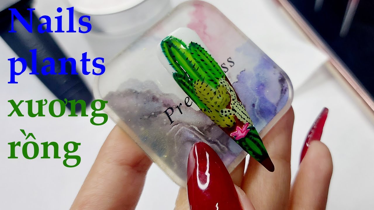 Châu Pha (Chou Fa) - Nails plants - Xương rồng - YouTube