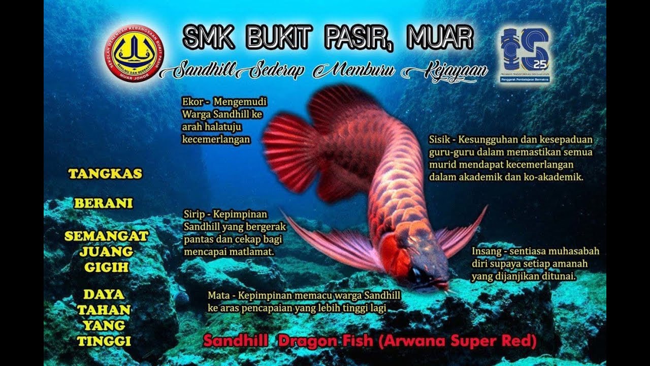 MODUL 6 KEFAHAMAN MELALUI REKA BENTUK (KmR) VIDEO SHOWCASE TS25- ARO ...