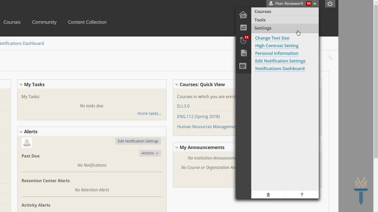 eLearning Intro: Using Global Navigation to Change Text Size, Contrast ...
